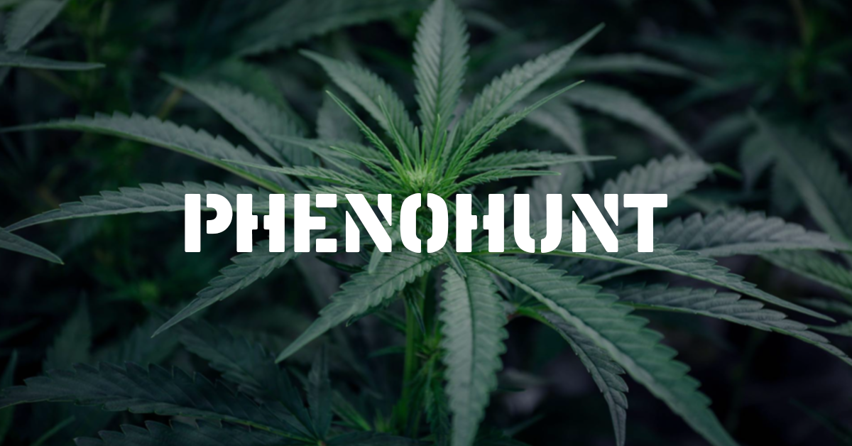 Clones – PHENOHUNT